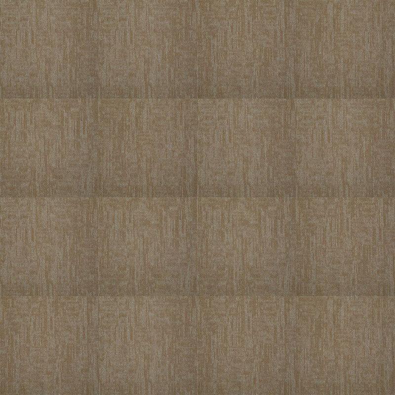 Shaw Floors Apollo 24-in x 24-in Multi-Level Loop Adhesive Carpet Tile (48-sq ft) | Wayfair